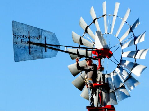 Art on the tail vane of windmills | Rock Ridge Windmills